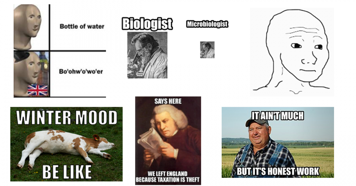 Theorising the memescape: The spatial politics of Internet memes | BISA